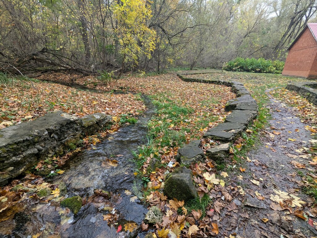 Pınar, çay Spring, stream, Lipetskaya oblastı, foto