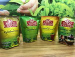Tea manufacturing company (E1/11-20, Sheikh Rashed Bin Saeed Al Maktoum Road, Al Rashidiya 1, City Center Sector, Ajman), kahve dükkanı  Ayman'dan