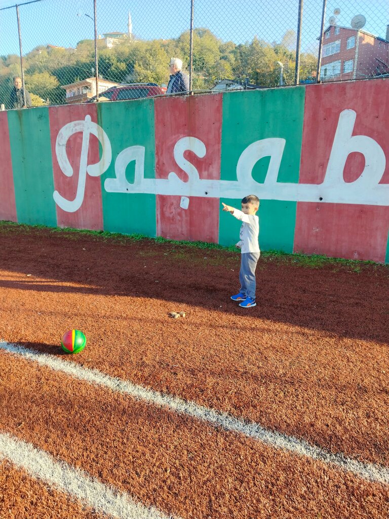 Spor kulüpleri Paşabahçe Stadyumu, İstanbul, foto