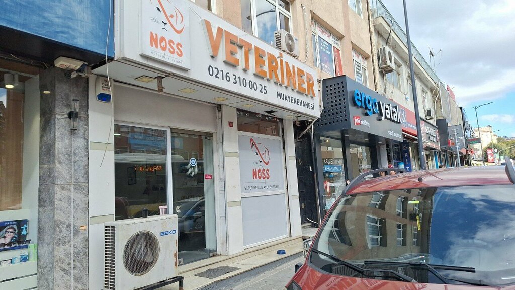 Veteriner klinikleri Noss Veteriner Kliniği, İstanbul, foto