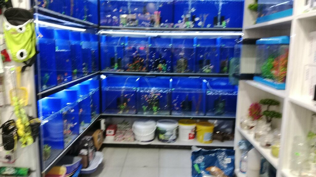 Petshop Jango Akvaryum Petshop, Ankara, foto