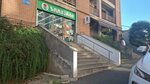 Zoomart (Krtsanisis Street No:22/26, ubani Krtsanisi), petshop  Tiflis'ten