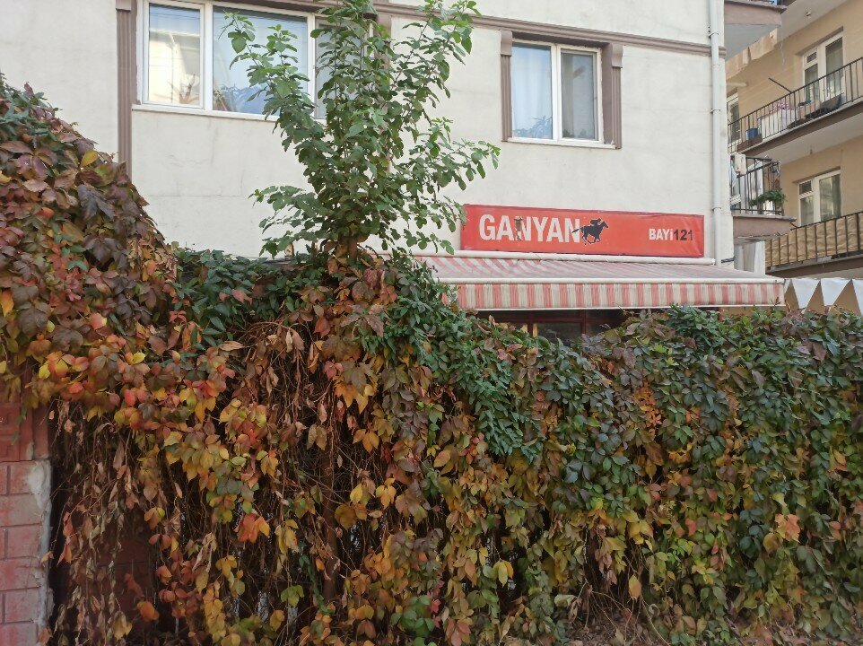 Şans oyunu bayileri Ganyan Bayi Akşemseddin, Ankara, foto