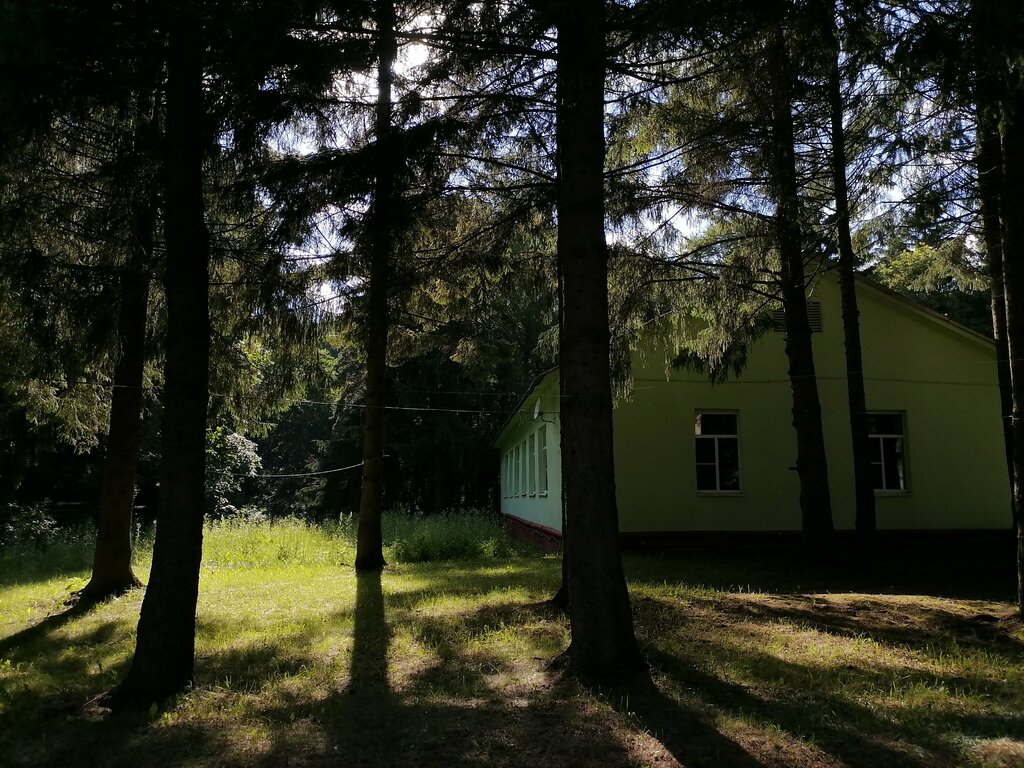 Yaz kampı Детский Оздоровительно-образовательный центр Ёлочка, Orlovskaya oblastı, foto