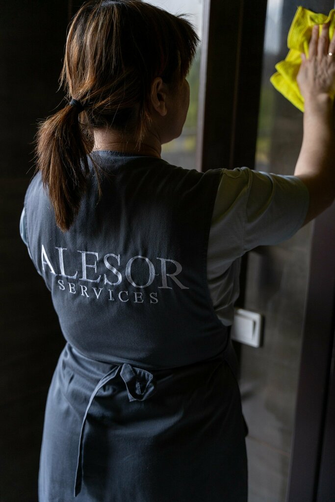Temizlik şirketleri Alesor Services, Saint‑Petersburg, foto