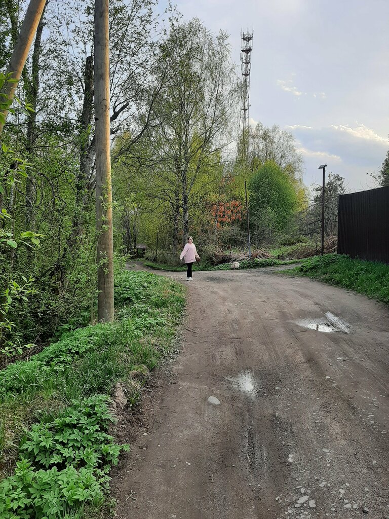 Pınar, çay Spring, stream, Karelya, foto