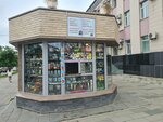 Печать (Lenina Street No:220к1), gazete bayi  Sakhalinsk'ten