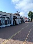 Zheleznodorozhnaya Stantsiya Olekhnovichi (Minskaja region, Maladziechanski rajon, Aliahnovicki sielsaviet, ahraharadok Aliachnovičy), tren garları  Minskaya oblastından