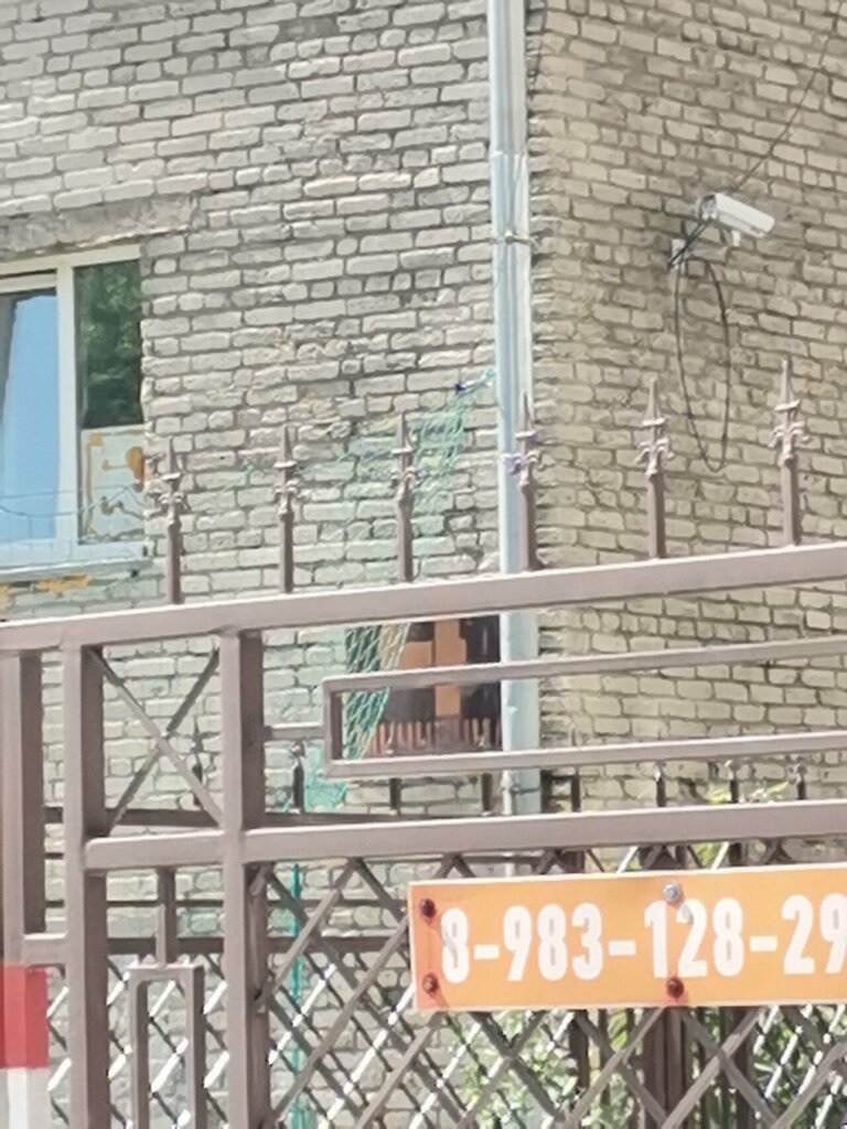 Yoga stüdyosu Bona Fit, Novosibirsk, foto