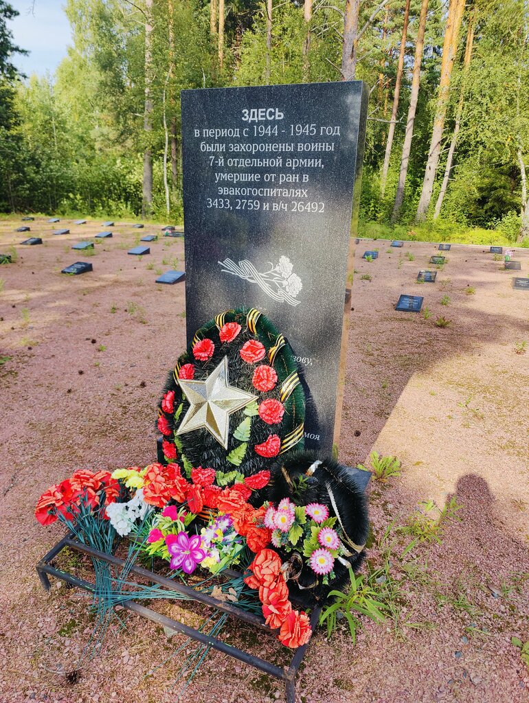 Anıt, heykel Братская могила, Saint‑Petersburg ve Leningradskaya oblastı, foto