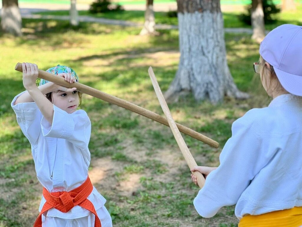 Spor kulüpleri Aikidoteam, Moskova, foto