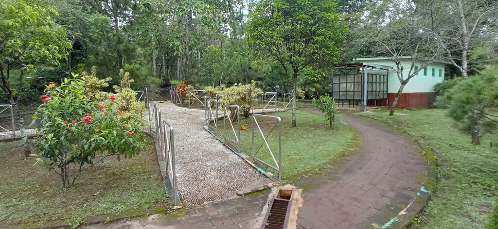 Oyun alanı Playground, , foto