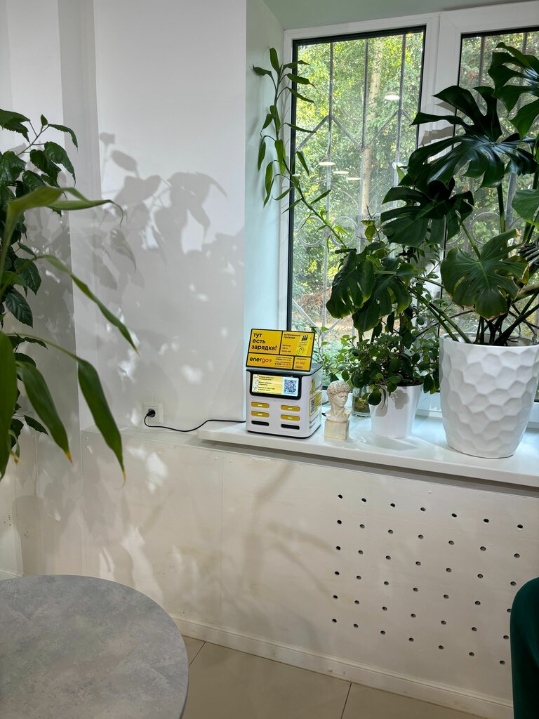 Şarj cihazı kiralama Energo, Samara, foto