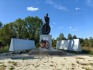 Воинское захоронение № 4826 (Viciebskaja voblasc, Dubrovienski rajon, Malasavinski sielsaviet, ahraharadok Babrova), anıt, heykel  Vitebskaya oblastından