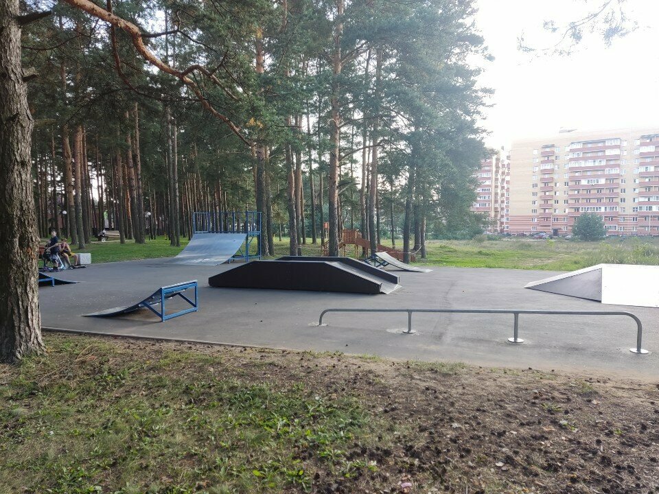 Kaykay parkı Скейт-парк, Yaroslavskaya oblastı, foto