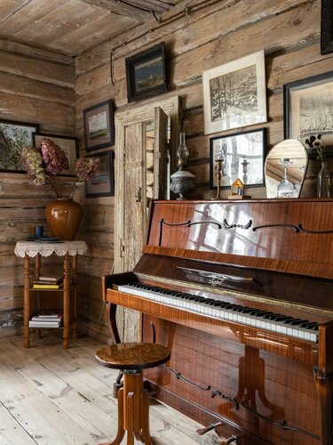Müzeler ve sanat galerileri Сад и дом-музей Николая Петровича Ракицкого, Tarusa, foto