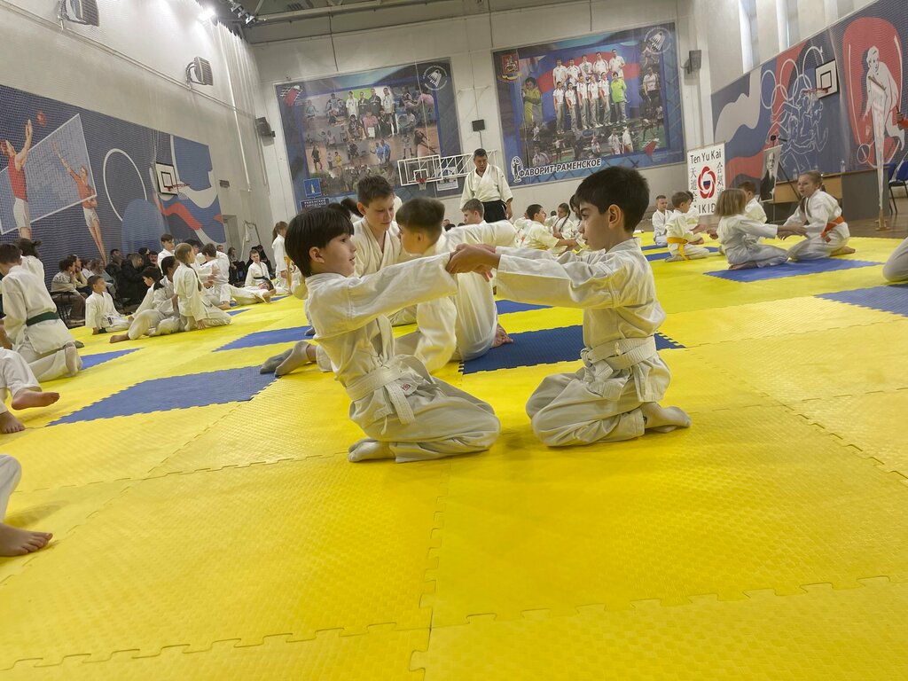 Spor kulüpleri Aikido TenYuKai, Ramenskoye, foto