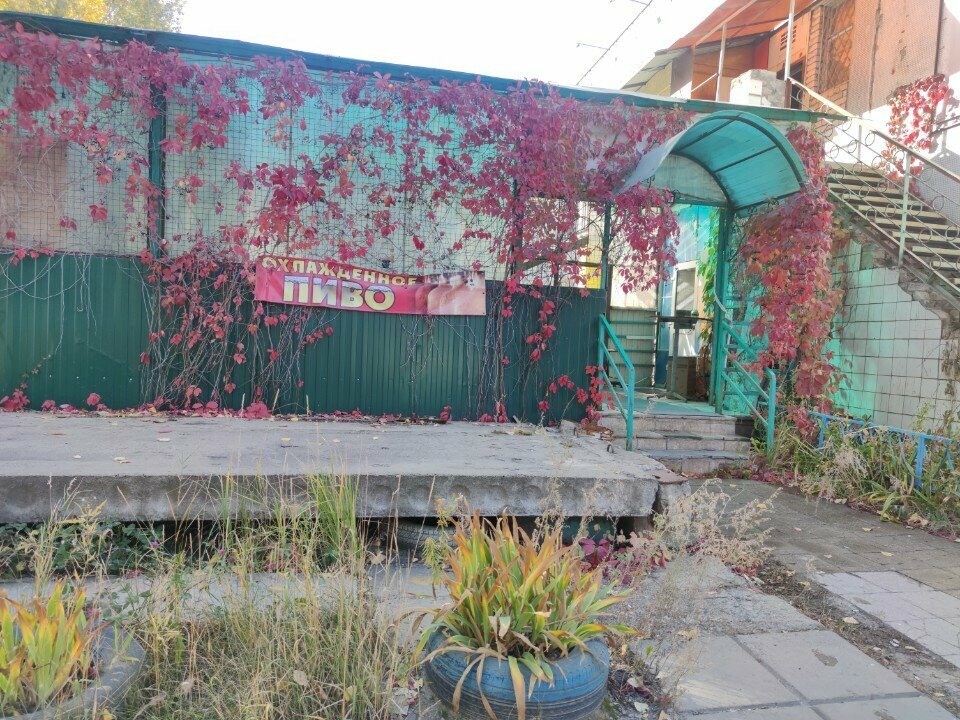Bar Zakusochnaya Sotochka, Ulyanovsk, foto