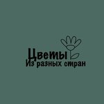 Flowers From Different Countries (ulitsa Bezymenskogo No:26А), çiçekçiler  Vladimir'den