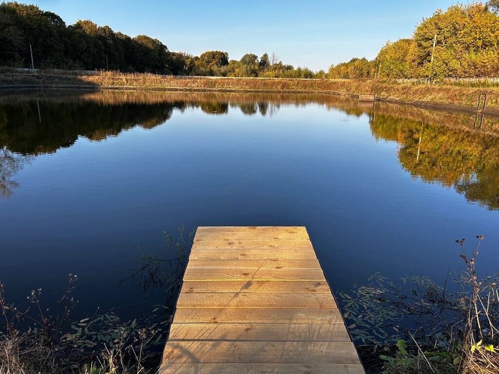 Balık çiftçiliği ve toptancıları Орловский карп, Orlovskaya oblastı, foto