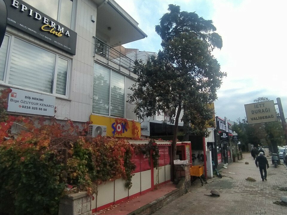 Özel ağız ve diş sağlığı klinikleri ve muayenehaneleri Diş Hekimi Bige Özuygur, İstanbul, foto