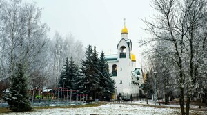 Парк Приокский (Nizhniy Novgorod, Disk-golf park Priokskiy), kültür ve eğlence parkları  Nijni Novgorod'dan