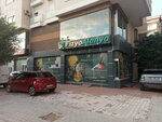 Fizyo Alanya Sağlıklı Yaşam ve Fizyoterapi Merkezi (Antalya, Alanya, Keykubat Blv., 41B/1), sağlık merkezleri  Alanya'dan