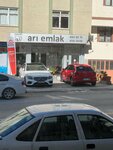 Arı Emlak (Oğuz Kağan Usta Cad., No:9D, Gölbaşı, Ankara), emlak ofisi  Ankara'dan