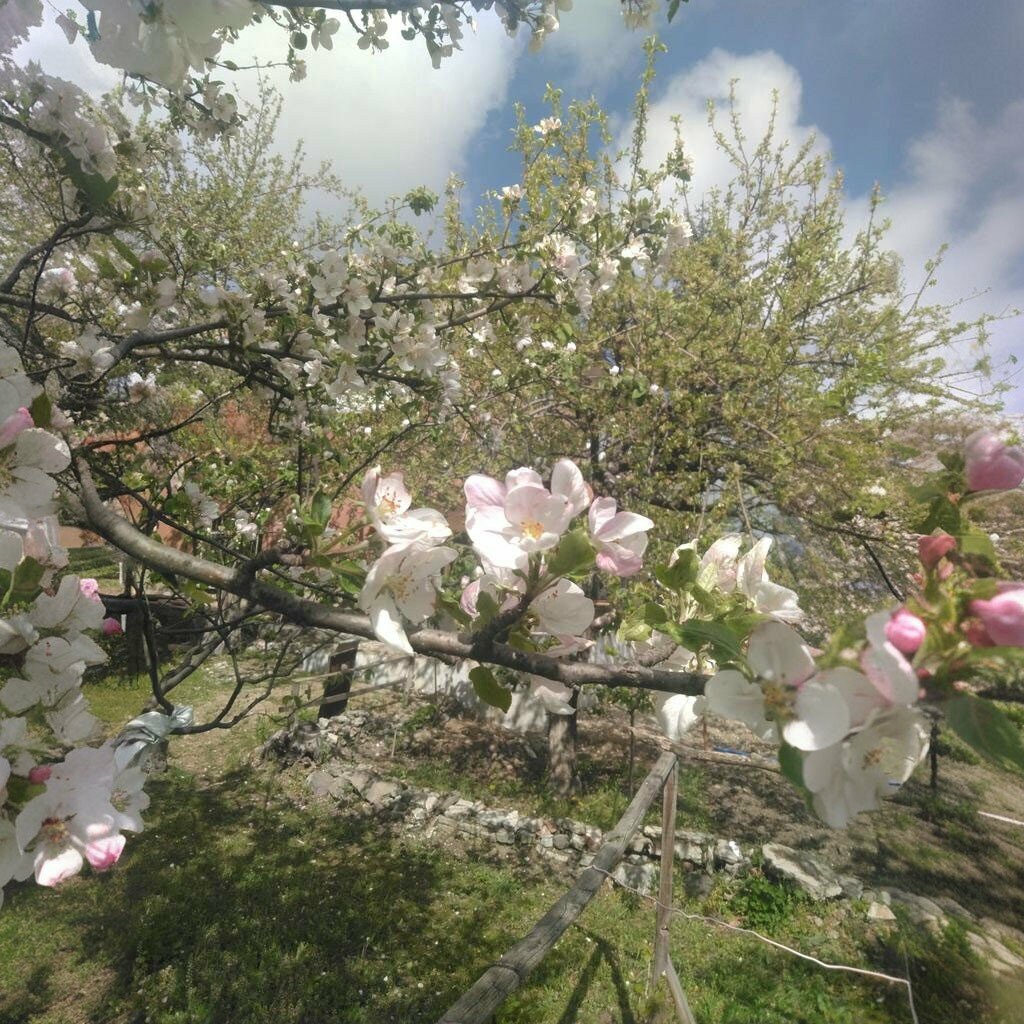 Kültür ve eğlence parkları Fatma Hatun Parkı, Ankara, foto