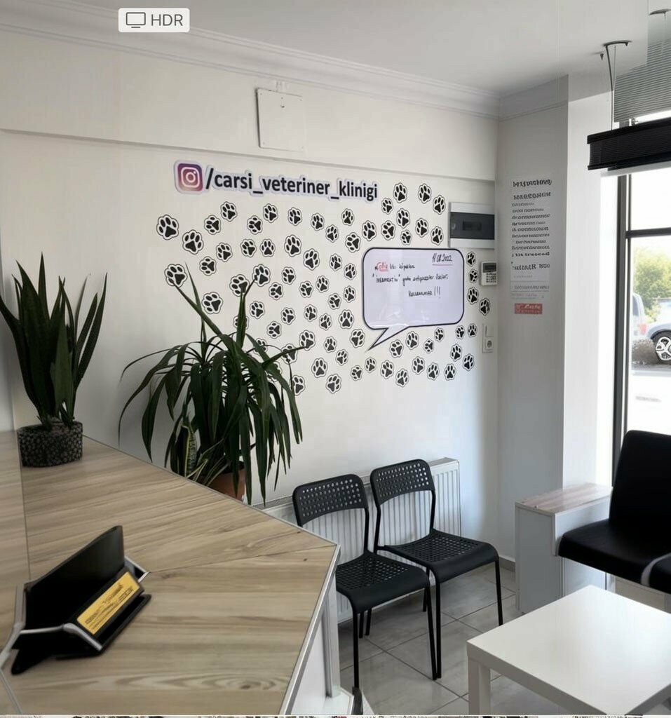 Veteriner klinikleri Çarşı Veteriner Kliniği, Saruhanlı, foto