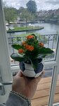 DekaMarkt Andijk (North Holland, Medemblik, Middenweg, 59), süpermarket  Hollanda'dan