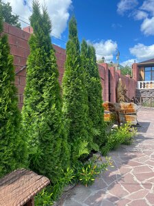 Rus (ulitsa Darvina No:7, Syzran), otel  Syzran'dan
