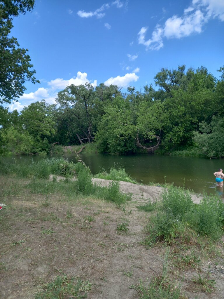Plaj Пляж, Saratovskaya oblastı, foto