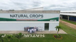Natural Crops Srl (Santa Cruz de la Sierra, Distrito Municipal 5, Subdistrito 66, Elda Viera, 4050), tohum üretimi  Santa‑Krus'tan