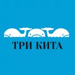 Три Кита (2nd Izmaylovskogo Zverintsa Street No:2), detaylı oto bakımı  Moskova'dan