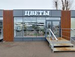 Цветы (Perm, Domostroitelnaya ulitsa), çiçekçiler  Perm'den
