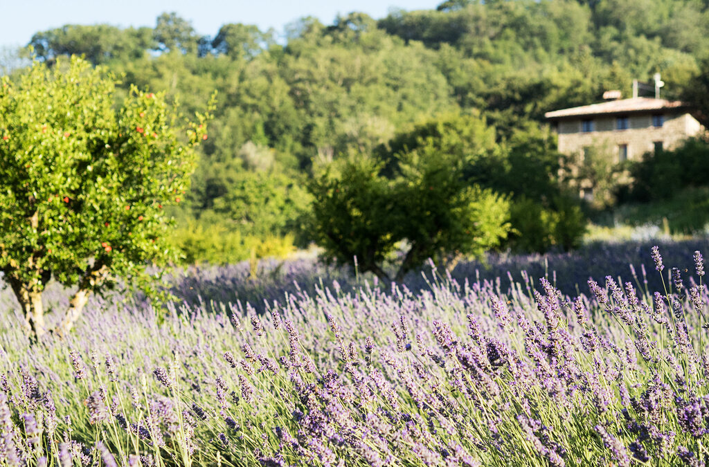 Otel Incantico, Umbria, foto
