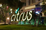 Lounge Citrus (Mersin, Yenişehir, Barbaros Mah., 2101. Sok., 15), kafe  Mersin'den