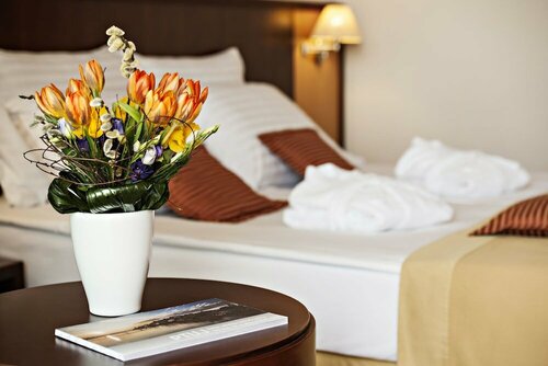 Otel Grand Hotel Primus - Sava Hotels & Resorts, Dünya, foto