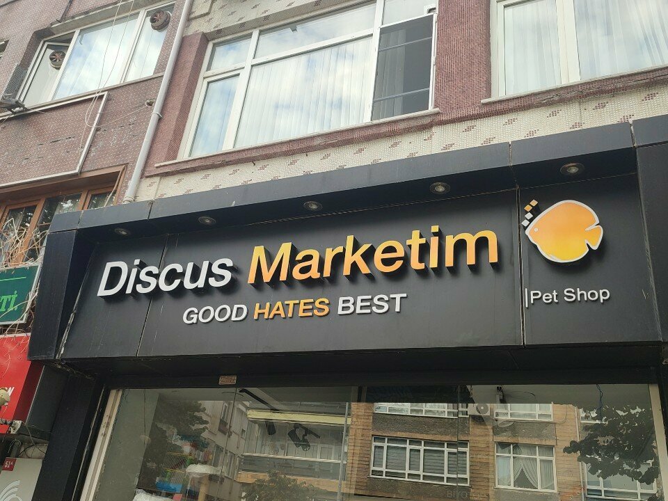 Petshop Discus Marketim, İstanbul, foto