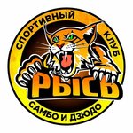 Рысь (70 Let Oktyabrya Avenue No:102А), spor okulları  Saransk'tan