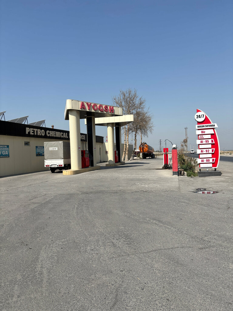 Benzin istasyonu Petro Chemical Resource, Fergana, foto