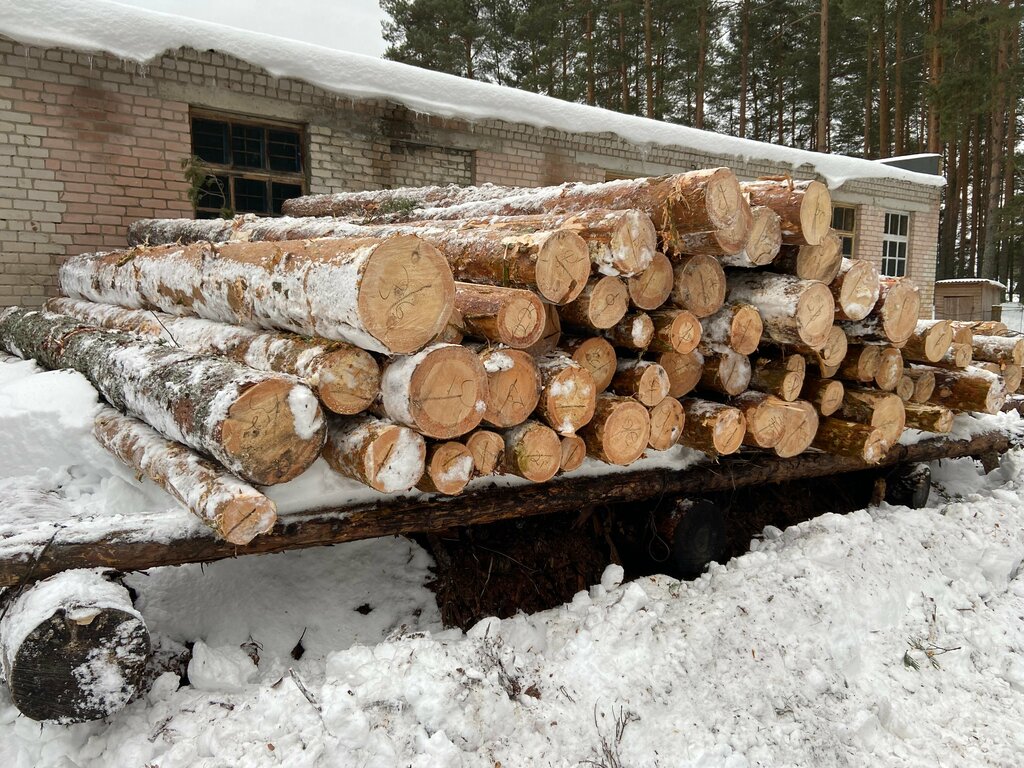 Ahşap endüstrisi Пиломатериалы, Kostromskaya oblastı, foto