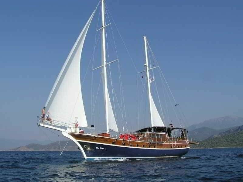 Otel Racing with Glory Dolphins, Dünya, foto