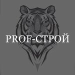 Prof-строй (Bolshaya Moskovskaya ulitsa No:33), dış kaplama  Kirjaç'tan