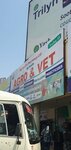 My health: Agro and vet (Freedom Way No:802), tarım ürünleri firmaları  Lusaka'dan