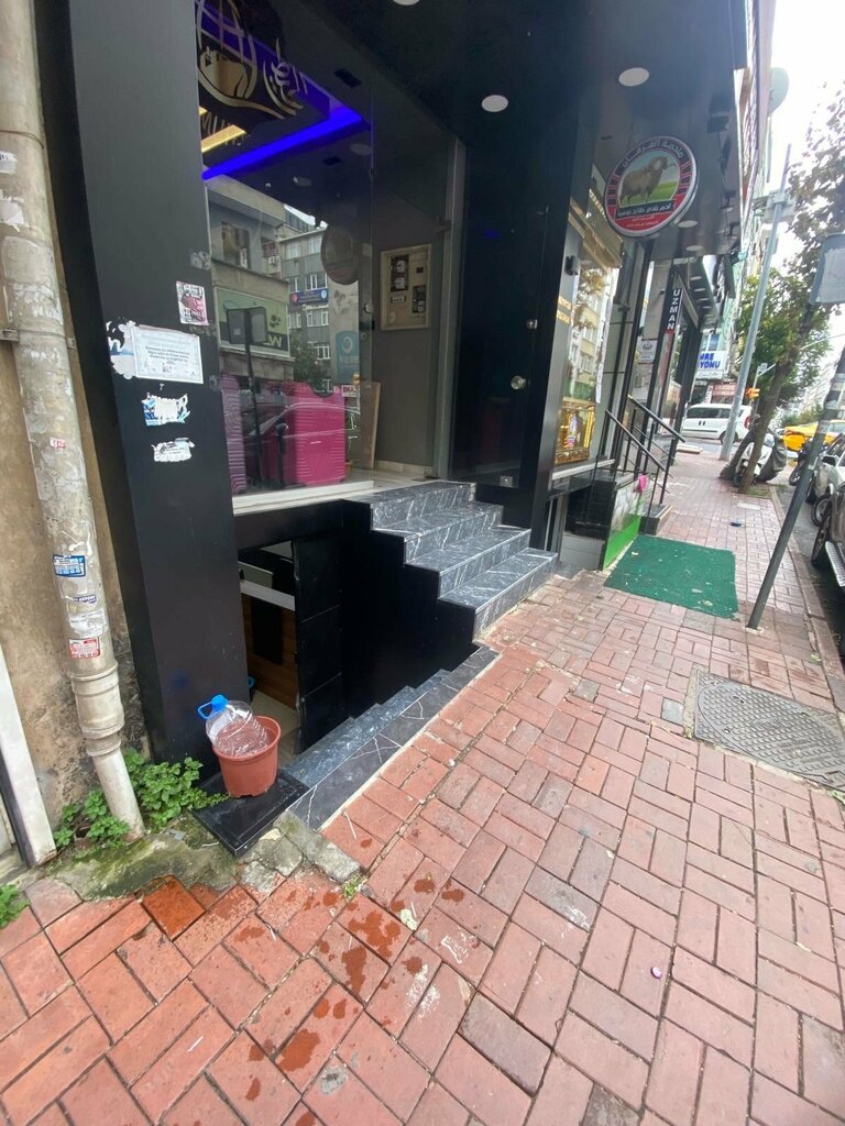 Taşımacılık hizmetleri Al Muhit Express, İstanbul, foto