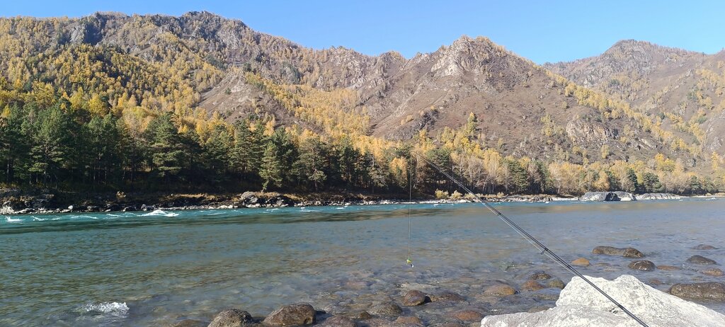 Kamp alanları КФХ Боор, Altay Cumhuriyeti, foto