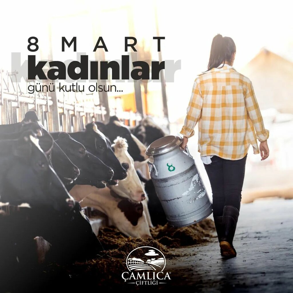 Hayvancılık Çamlıca Çiftliği, Efeler, foto