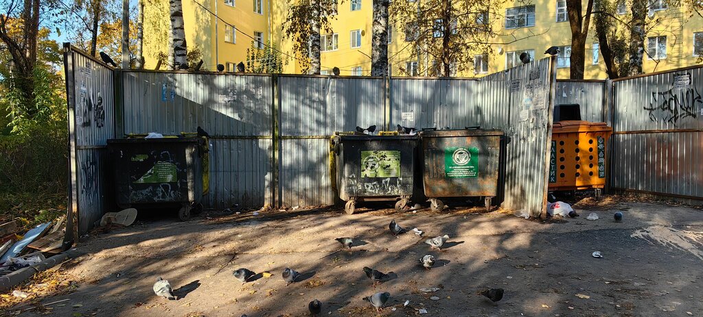 Çöp alanları Trash and garbage disposal area, Smolensk, foto